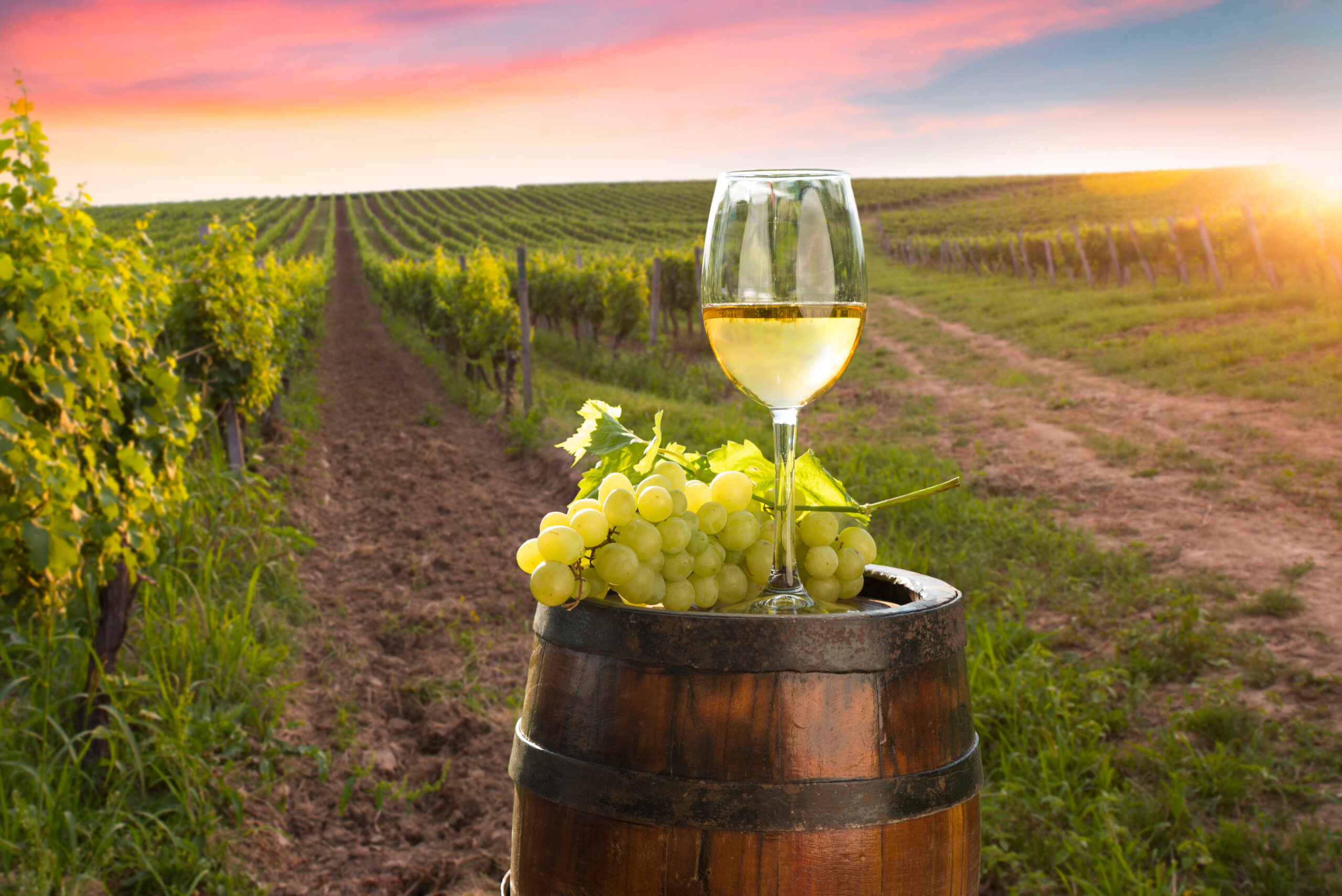 Top Yarra Valley Stops After a Visit to Coldstream Brewery - Coldstream ...